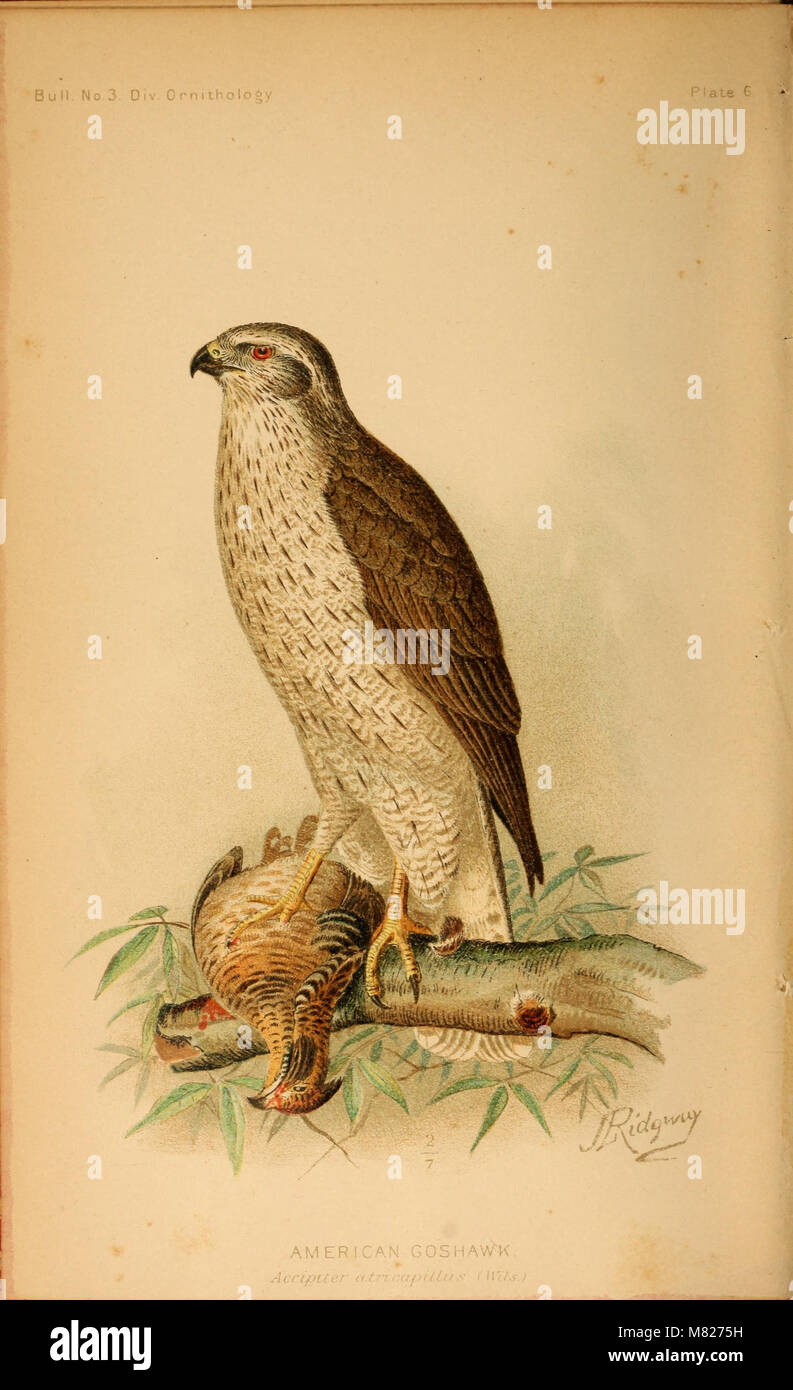 The 1893 edition of the Biological Survey Bulletin reports on the ...