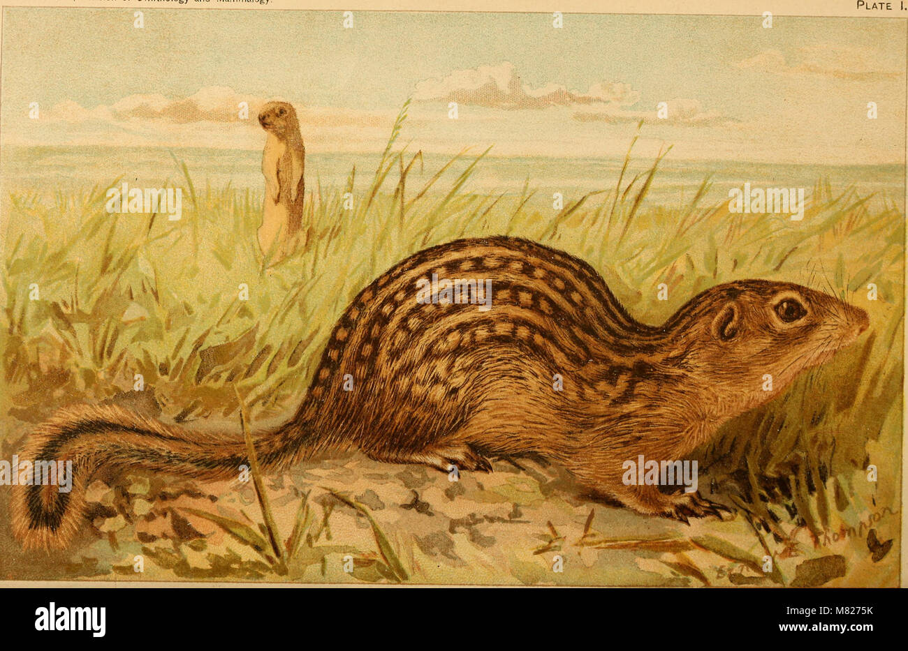 The 1893 'Bulletin - Biological Survey' provides detailed reports on ...