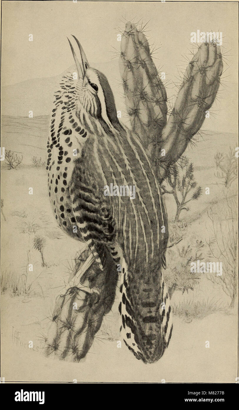 A 1906 biological survey publication that provides extensive data on ...