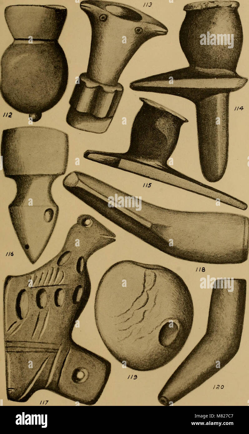 The bulletin from the New York State Museum published in 1897 provides ...
