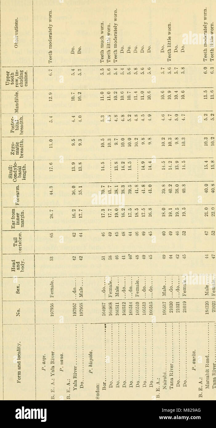 The United States National Museum Bulletin from 1918 highlights ...