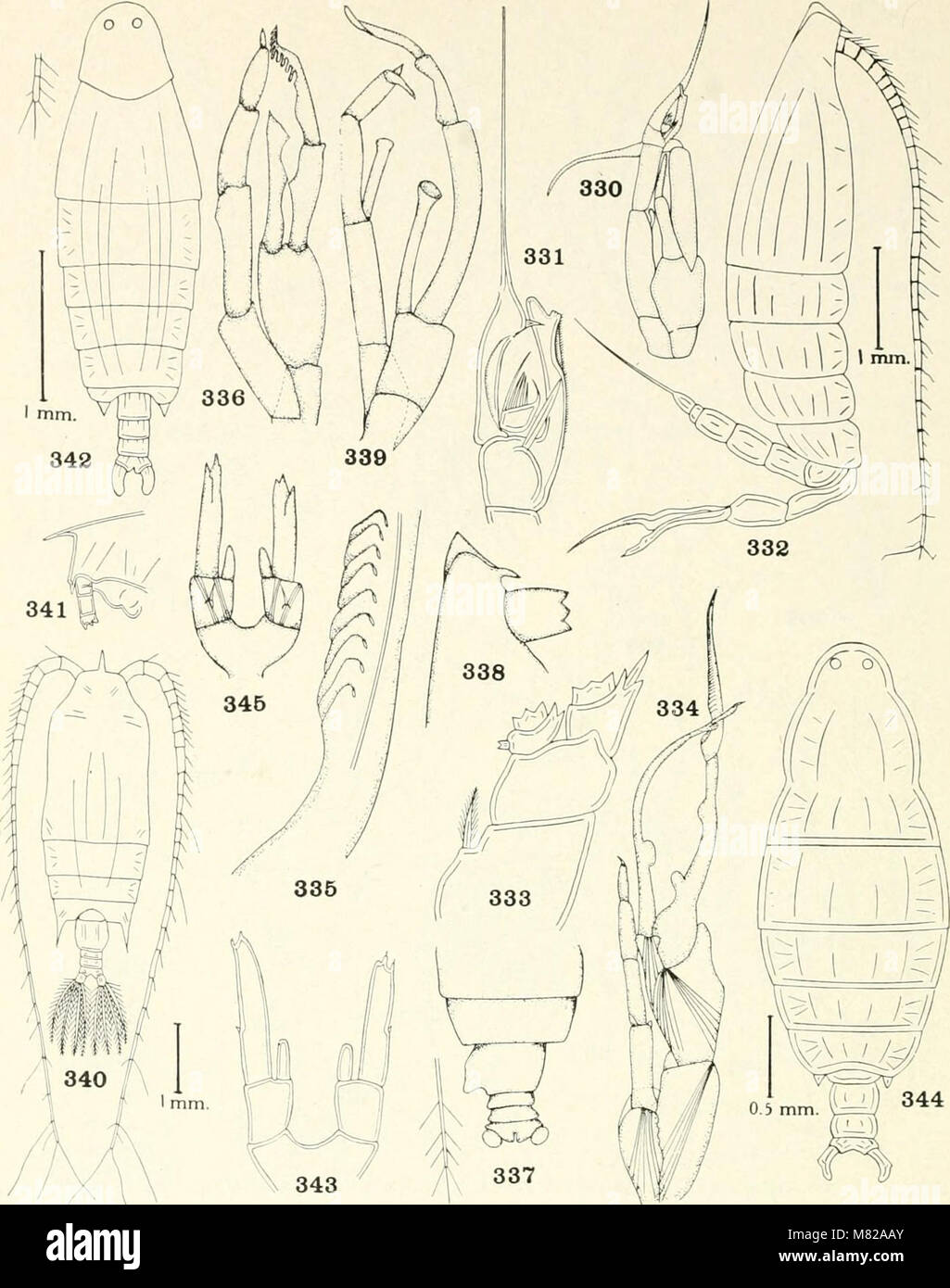 This 1940 bulletin from the United States National Museum presents ...