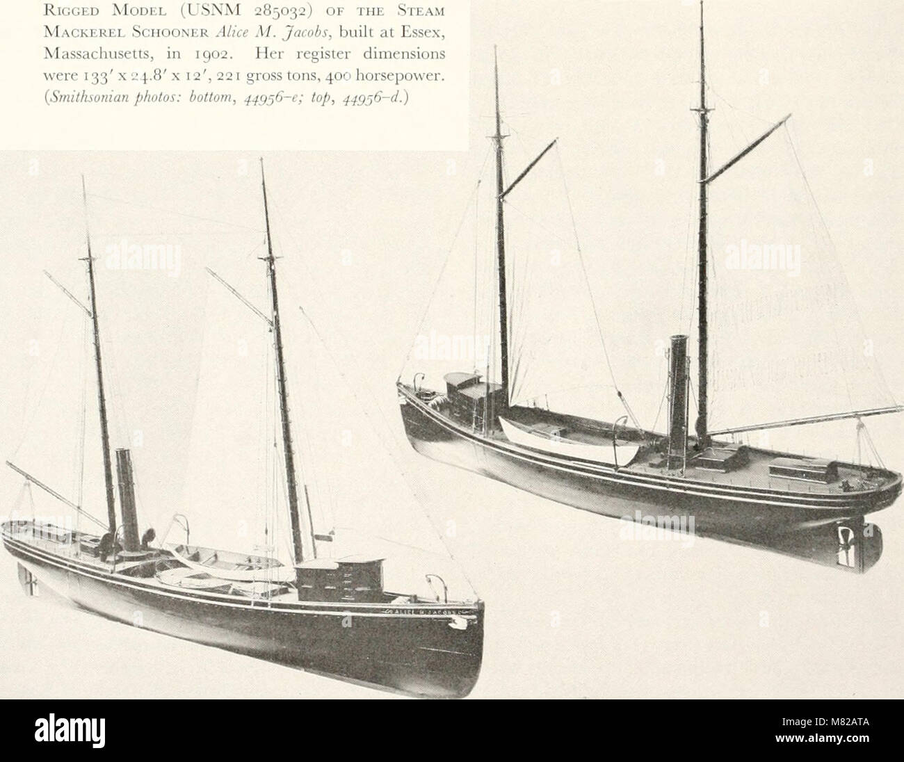 The 1960 bulletin from the United States National Museum documents a ...