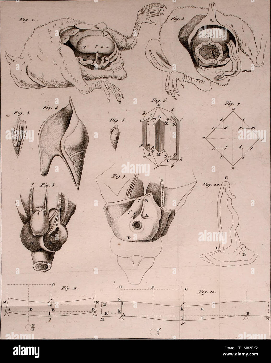 The *Bulletin des Sciences* (1791) is a historical scientific journal ...