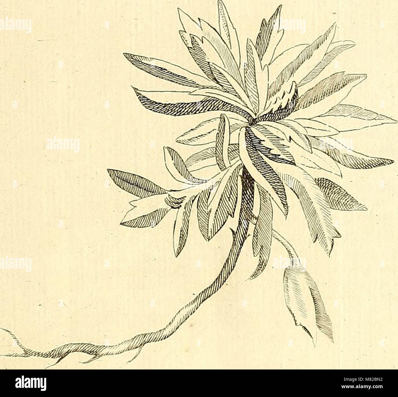 Bulletin des Sciences (1811) is a scientific journal that published ...