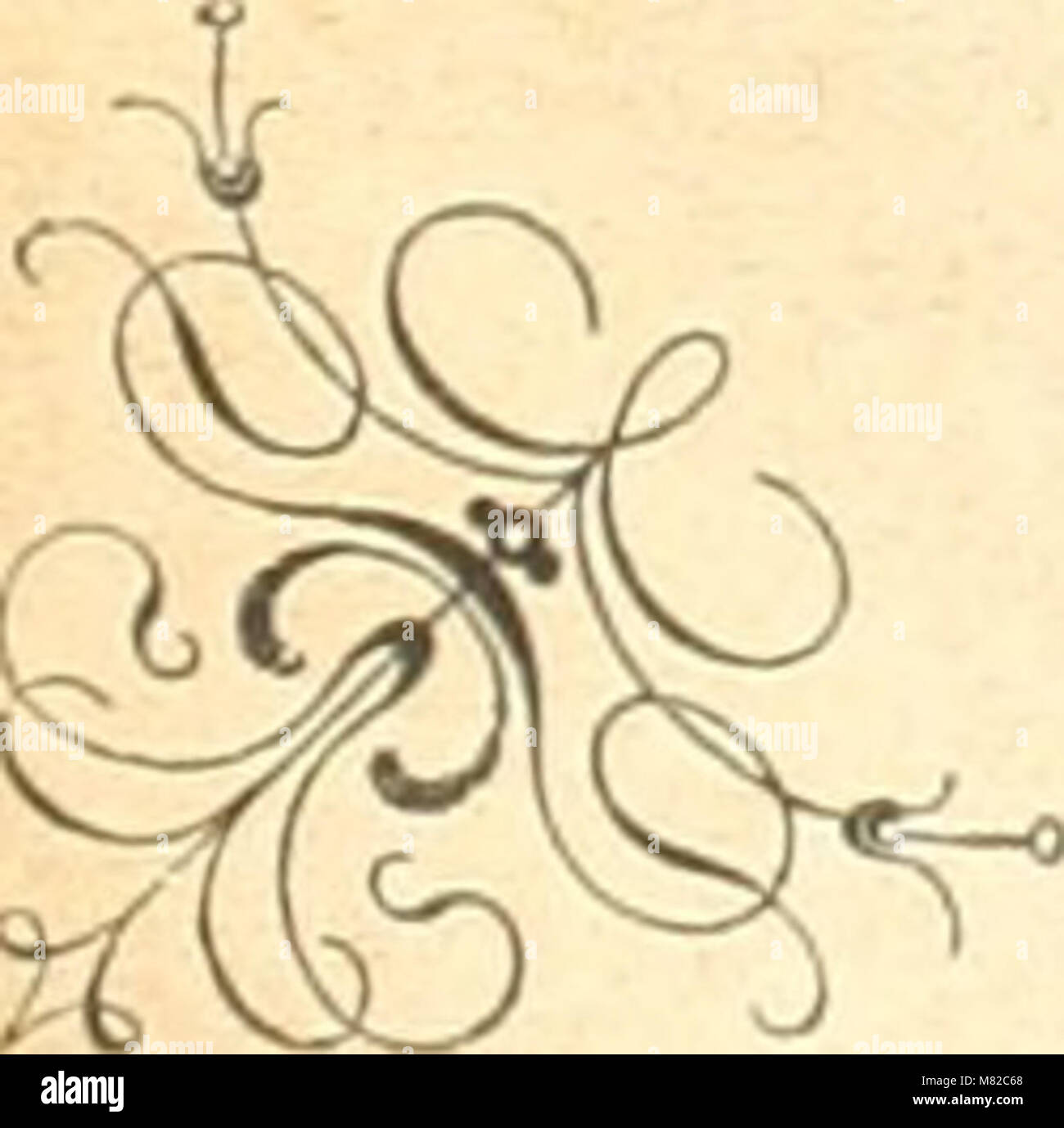 A publication by the Imperial Academy of Sciences of St. Petersburg ...