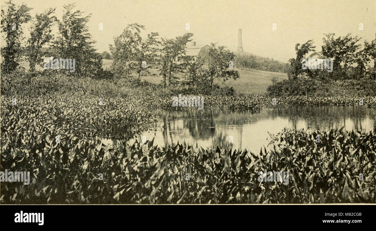 Cape Cod and the Old Colony (1921) explores the history, culture, and ...