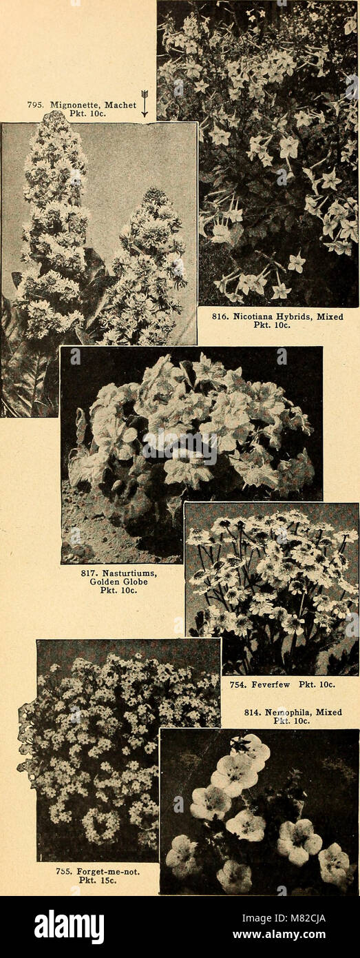 Capitol city seeds for 1944 (1944) (20345322888 Stock Photo - Alamy