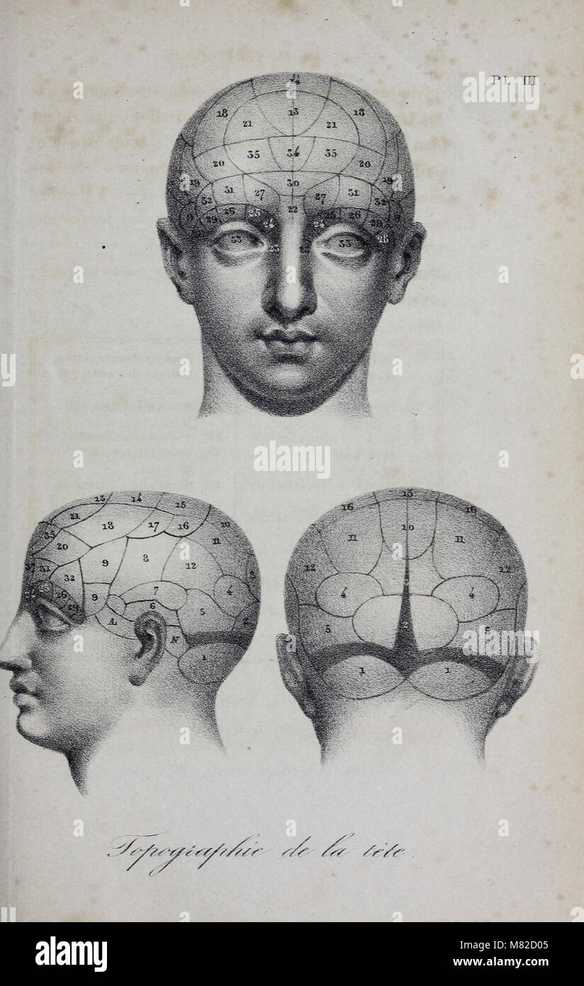 This 1837 work examines the phrenological and physiognomic traits of ...