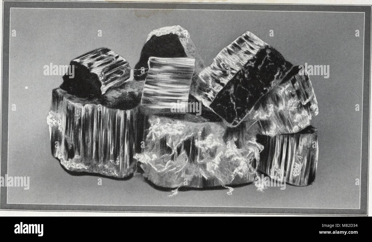 Carey's Coverings Catalog No. 411 (1911) showcases various materials ...