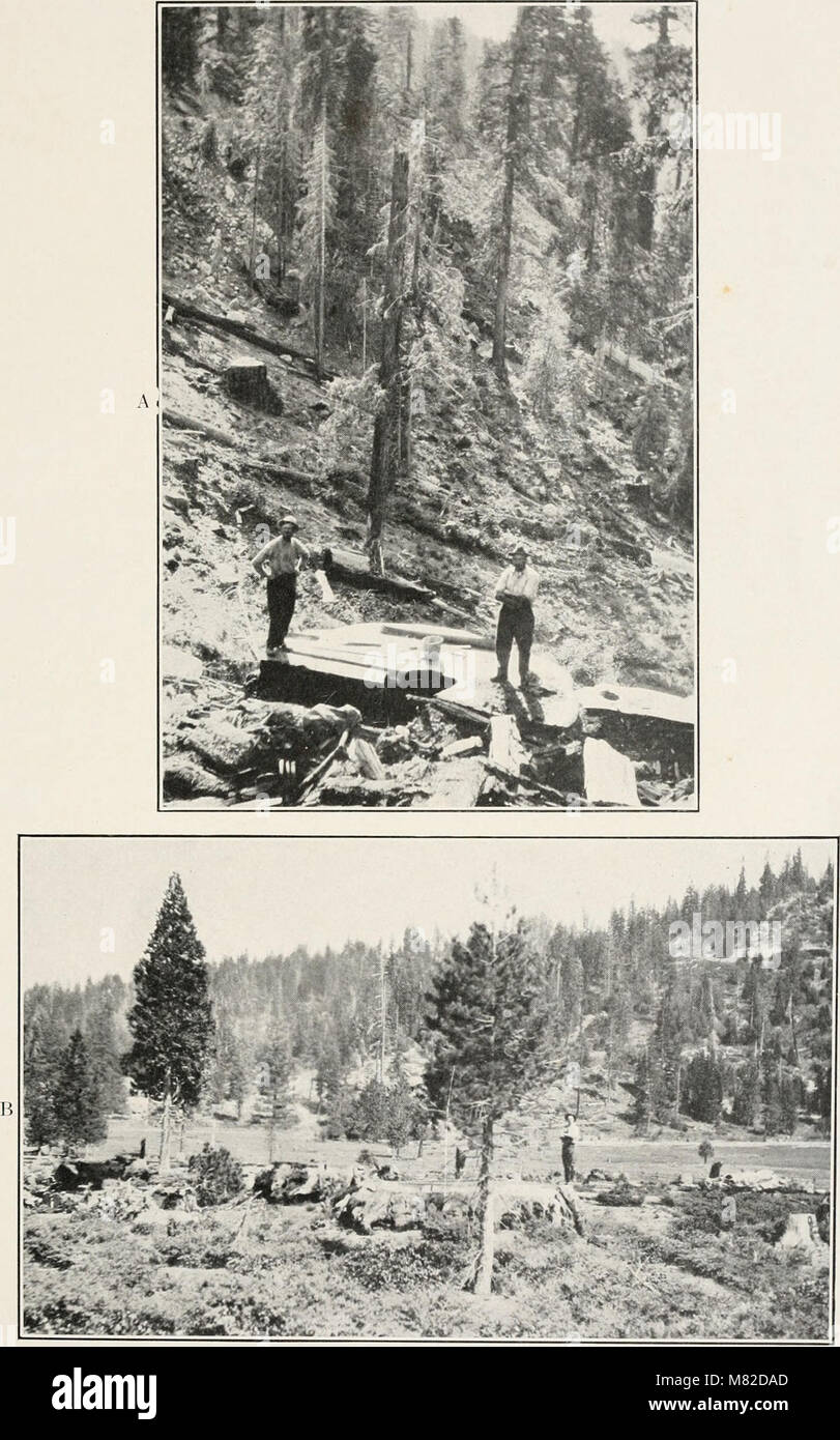 Carnegie Institution of Washington publication (1902) (20510735996 ...