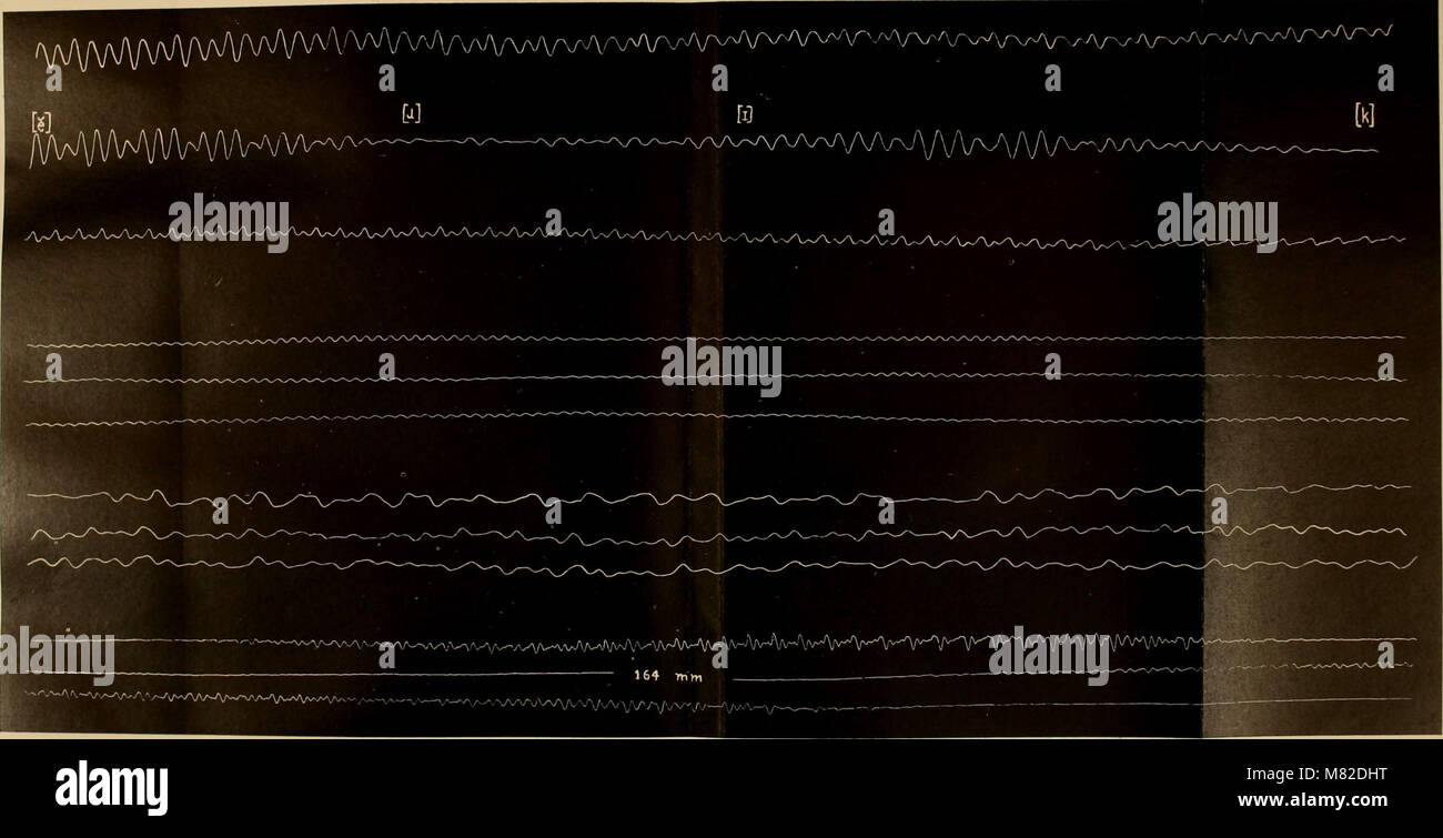 Carnegie Institution of Washington publication (1906) (20526041962 ...