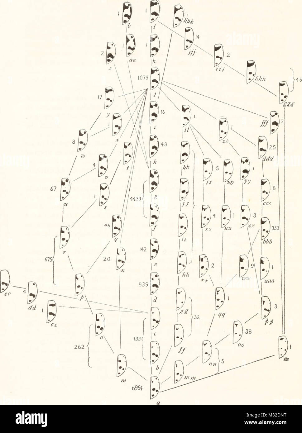 The Carnegie Institution of Washington's 1910 publication highlights ...