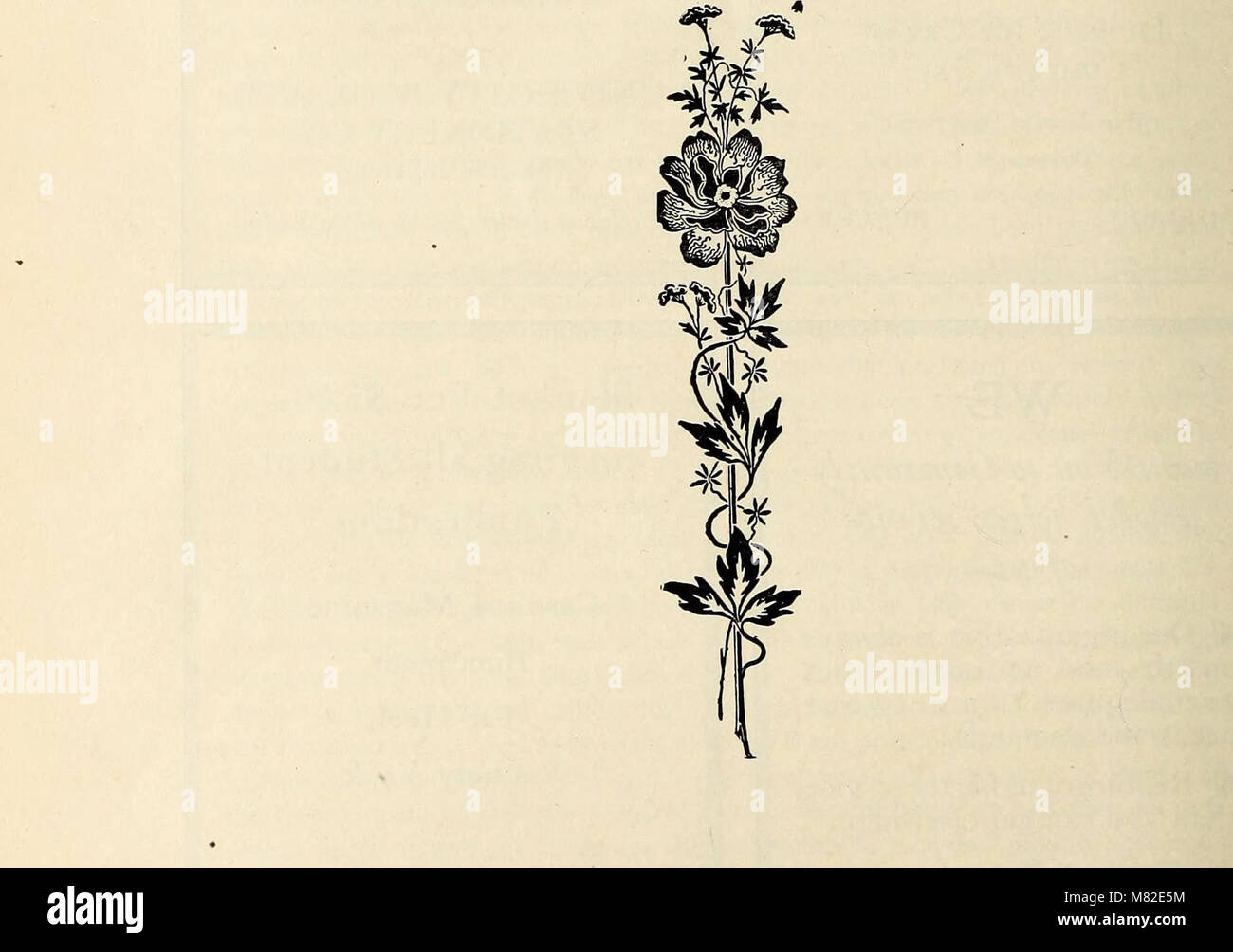 The Carolina Magazine, a serial published in 1921, provides a variety ...