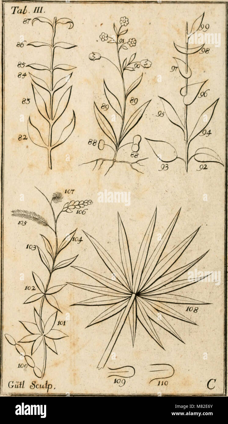 This 1770 work by Carl Linnaeus, 'Philosophia Botanica,' outlines the ...