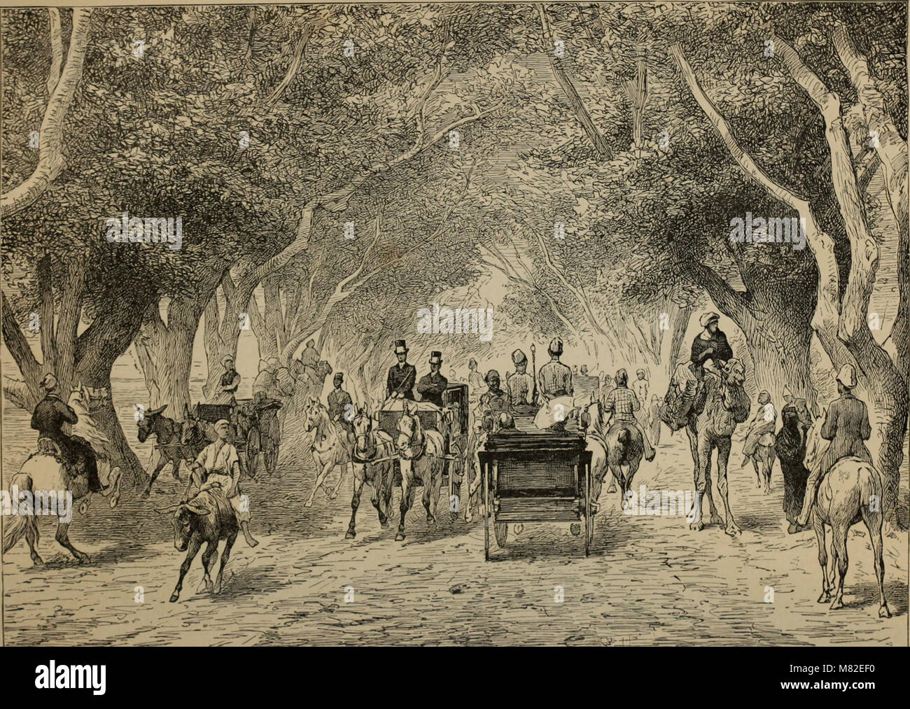 Cassell's history of the war in the Soudan (1885) (14597400849 Stock ...