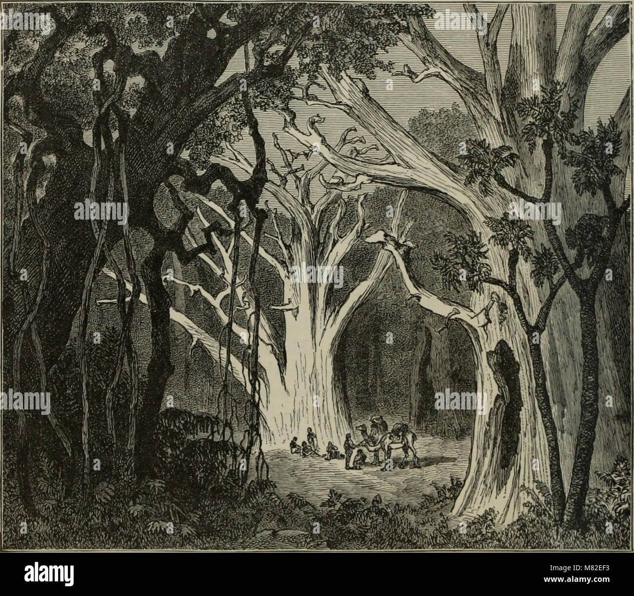 Cassell's 1885 history of the War in the Soudan provides an in-depth ...
