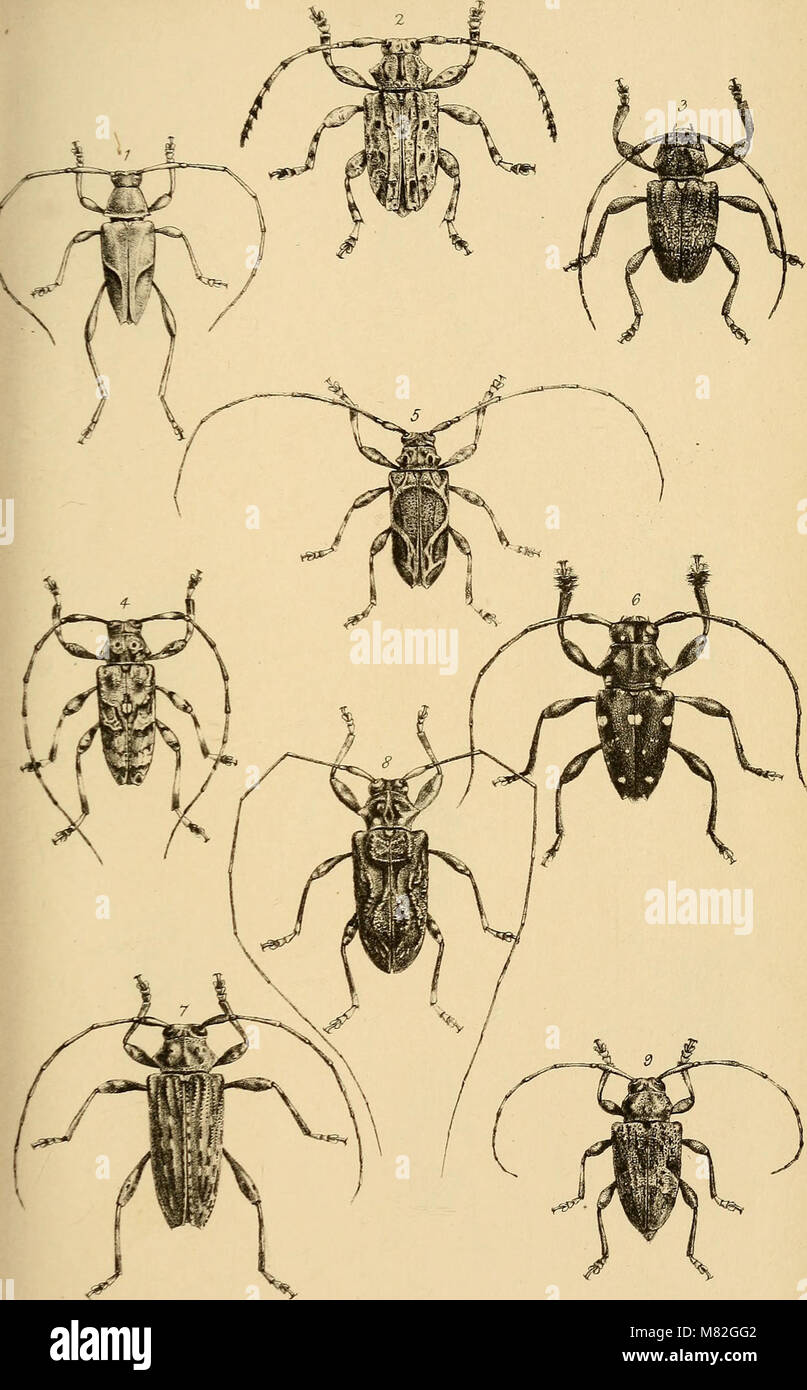 The 1847 catalogue lists and classifies coleopterous insects in the ...