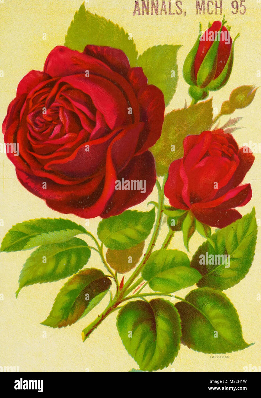 Our 1894 catalogue hi-res stock photography and images - Alamy