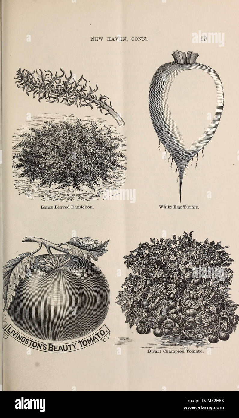 The 'Catalogue of Seeds and Plants for Spring 1894' offers a variety of ...