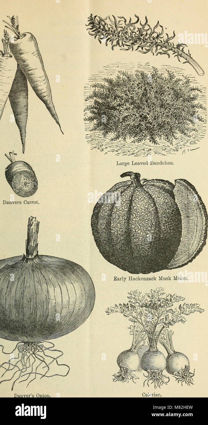 The 1896 catalog lists a variety of seeds and plants available for the ...
