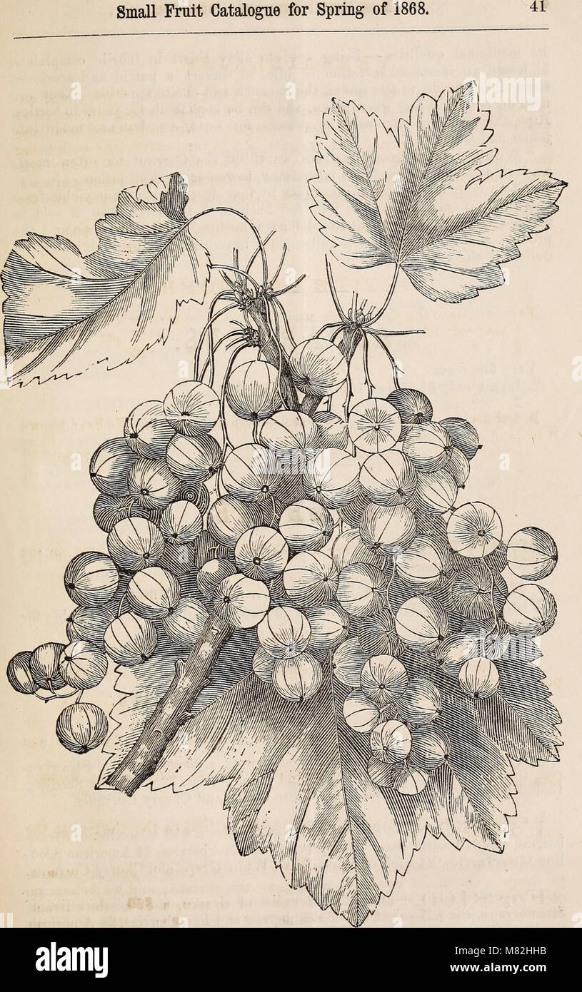 This 1868 catalog provides a selection of small fruit varieties ...