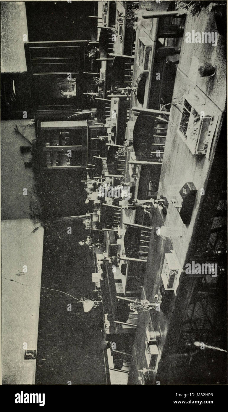 Catalogue of the Arizona Territorial Normal School at Tempe, Arizona ...