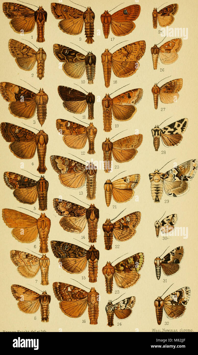 This 1903 catalog, housed at the British Museum, lists the Lepidoptera ...