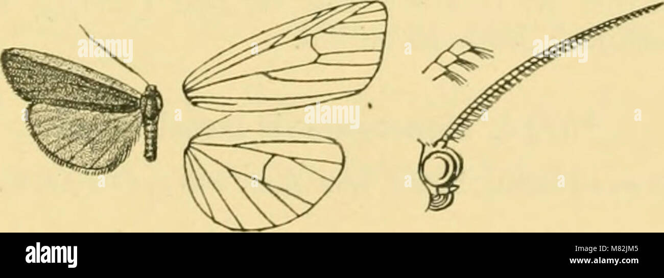This catalogue from 1914 contains detailed descriptions and ...
