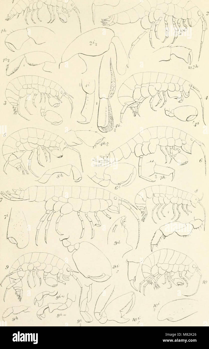 This 1862 catalog by C. Spence Bate lists and classifies the specimens ...