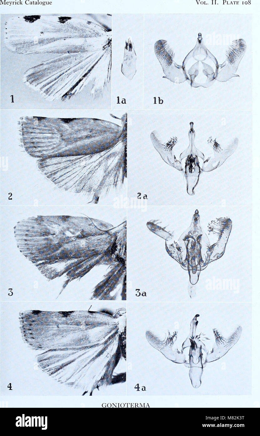 Catalogue of the types specimens of Microlepidoptera in the British ...
