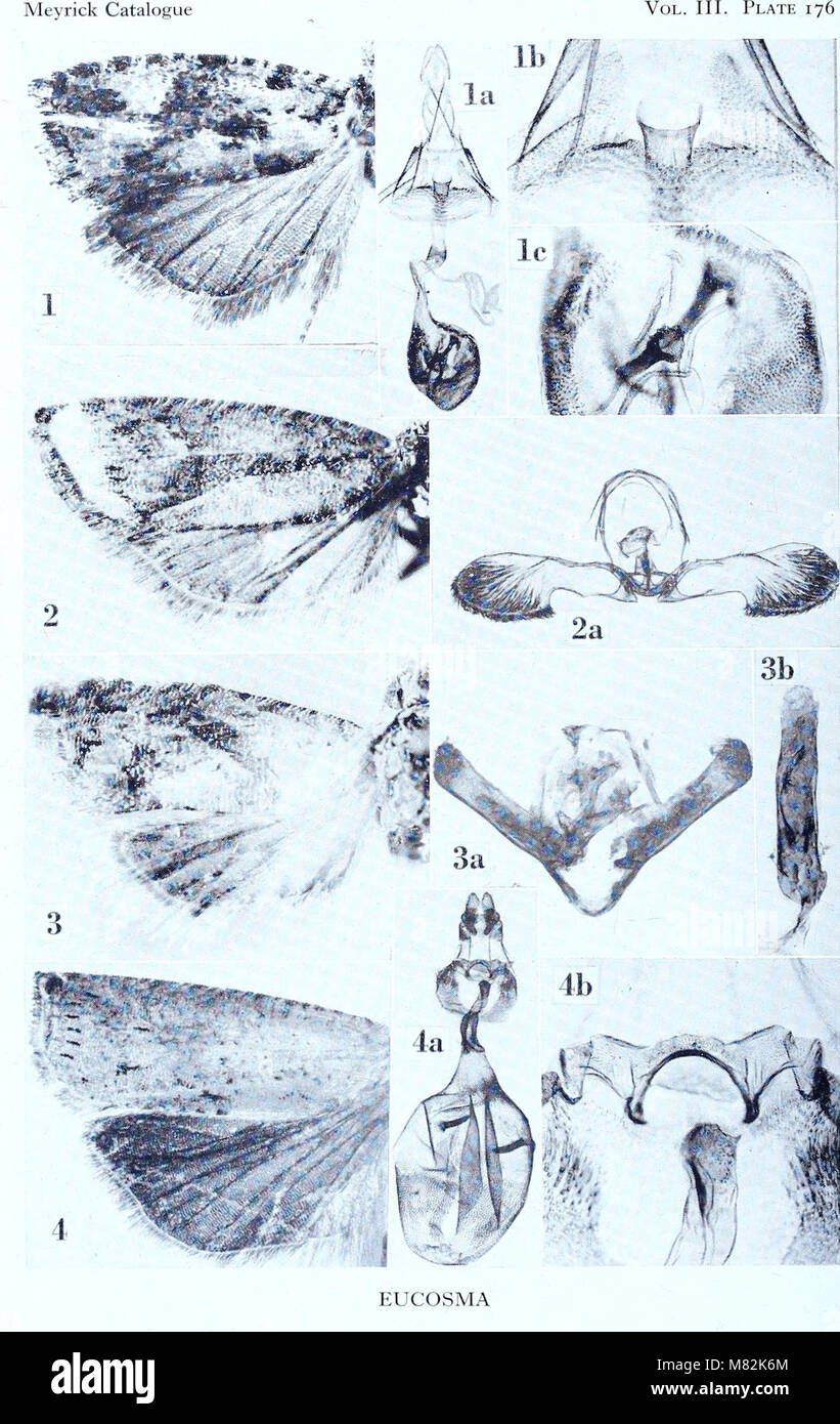 Catalogue of the types specimens of Microlepidoptera in the British ...