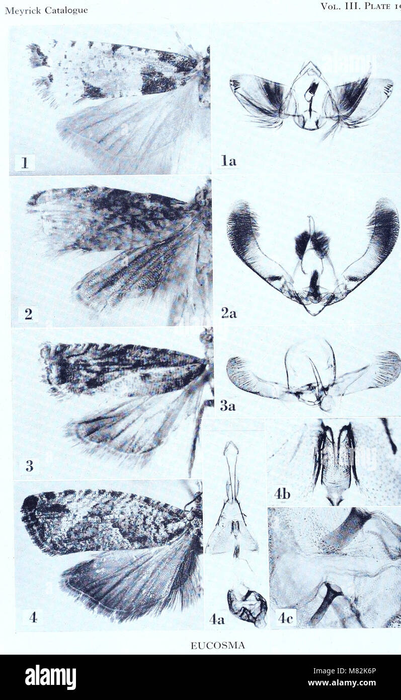 This catalogue (1955) lists and describes the type specimens of ...