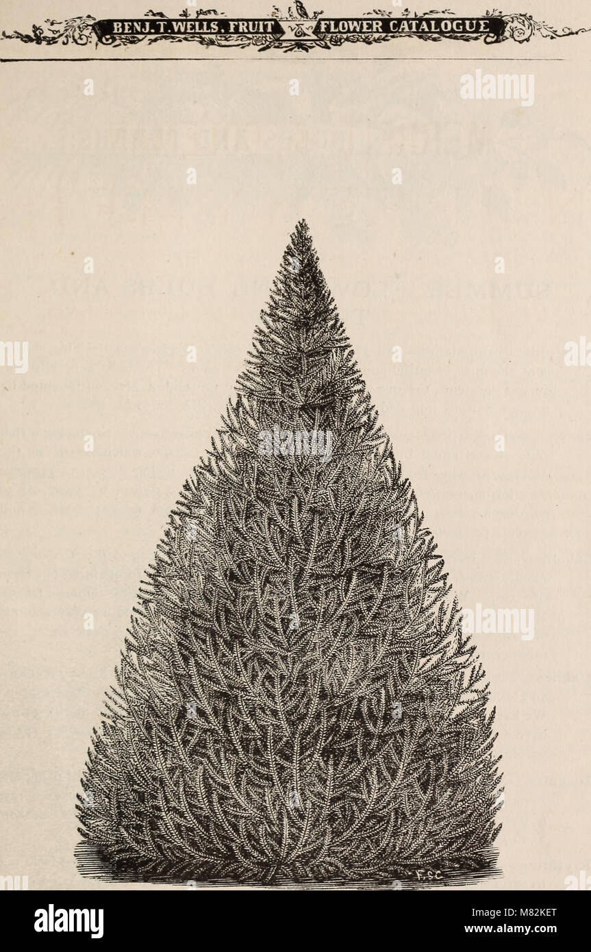 This 1879 catalog lists various trees, shrubs, vines, and plants for ...