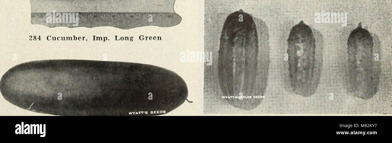 This 1957 catalog features a variety of products, including new items ...