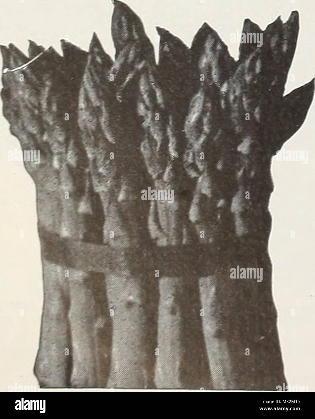 Spring 1965 hi-res stock photography and images - Alamy