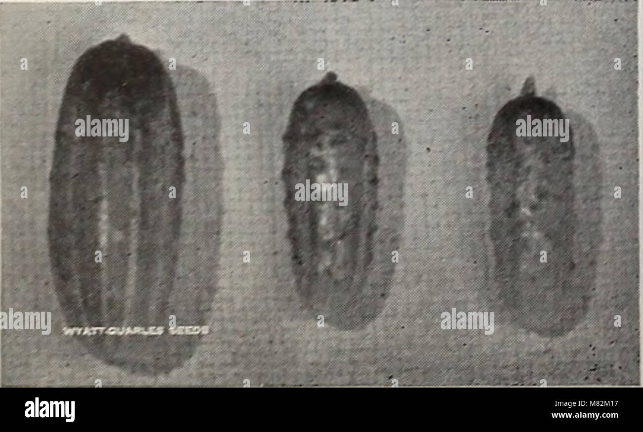 Spring 1965 hi-res stock photography and images - Alamy