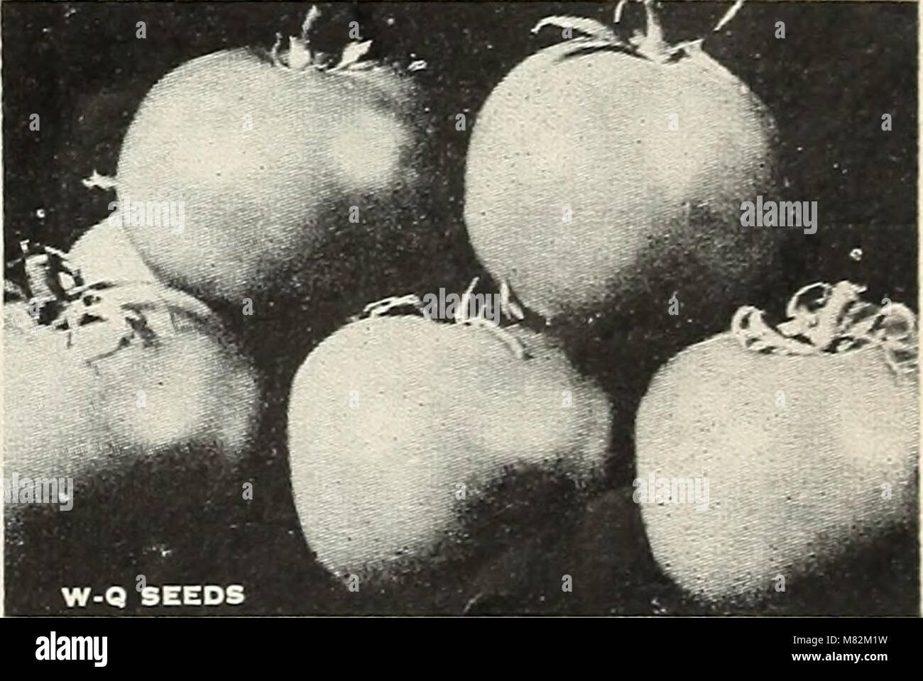 *Catalog - Spring 1968* is a product catalog for the spring season ...