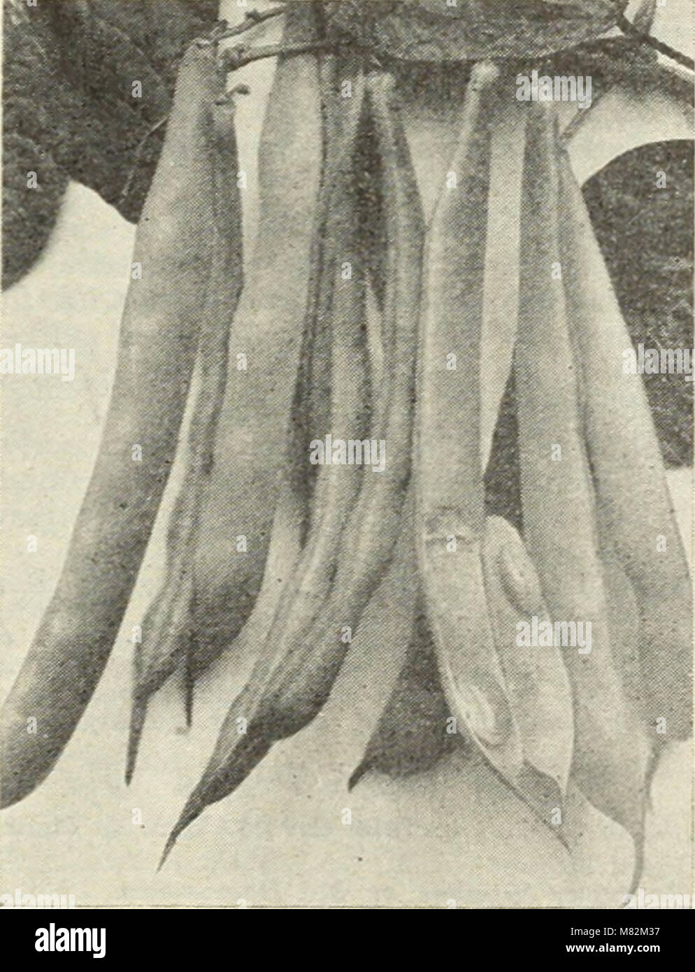 The 1963 catalog presents a range of products and items for that year ...