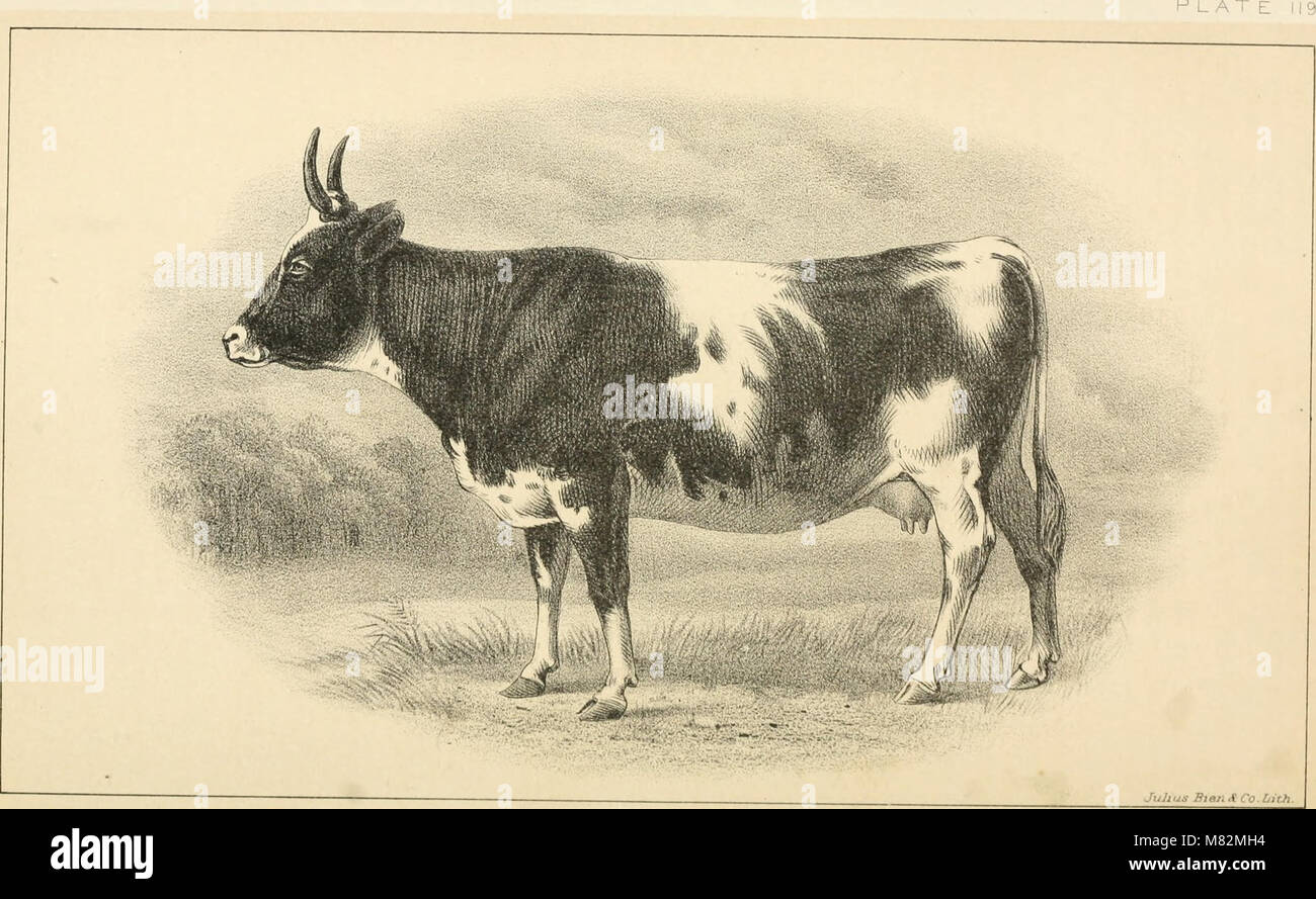 Cattle and dairy farming (1887) (20398732748 Stock Photo - Alamy