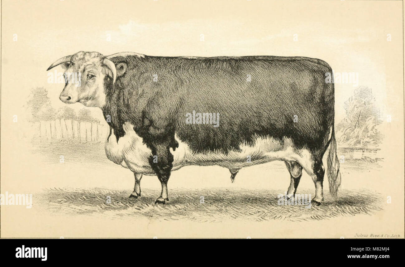Cattle and Dairy Farming, published in 1887, provides insights into ...