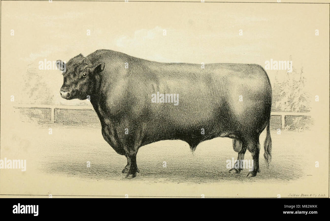 The 1887 publication 'Cattle and Dairy Farming' provides comprehensive ...