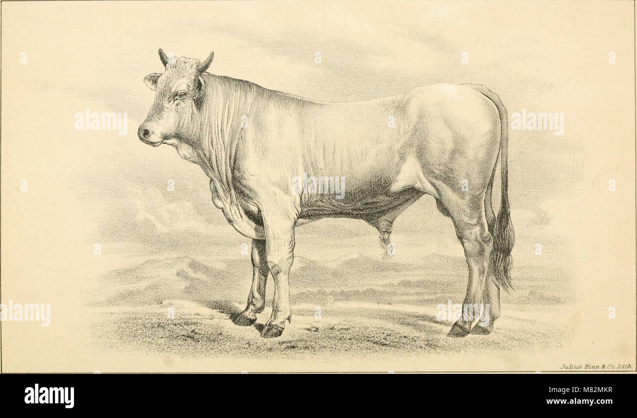 The 1887 publication 'Cattle and Dairy Farming' provided practical ...