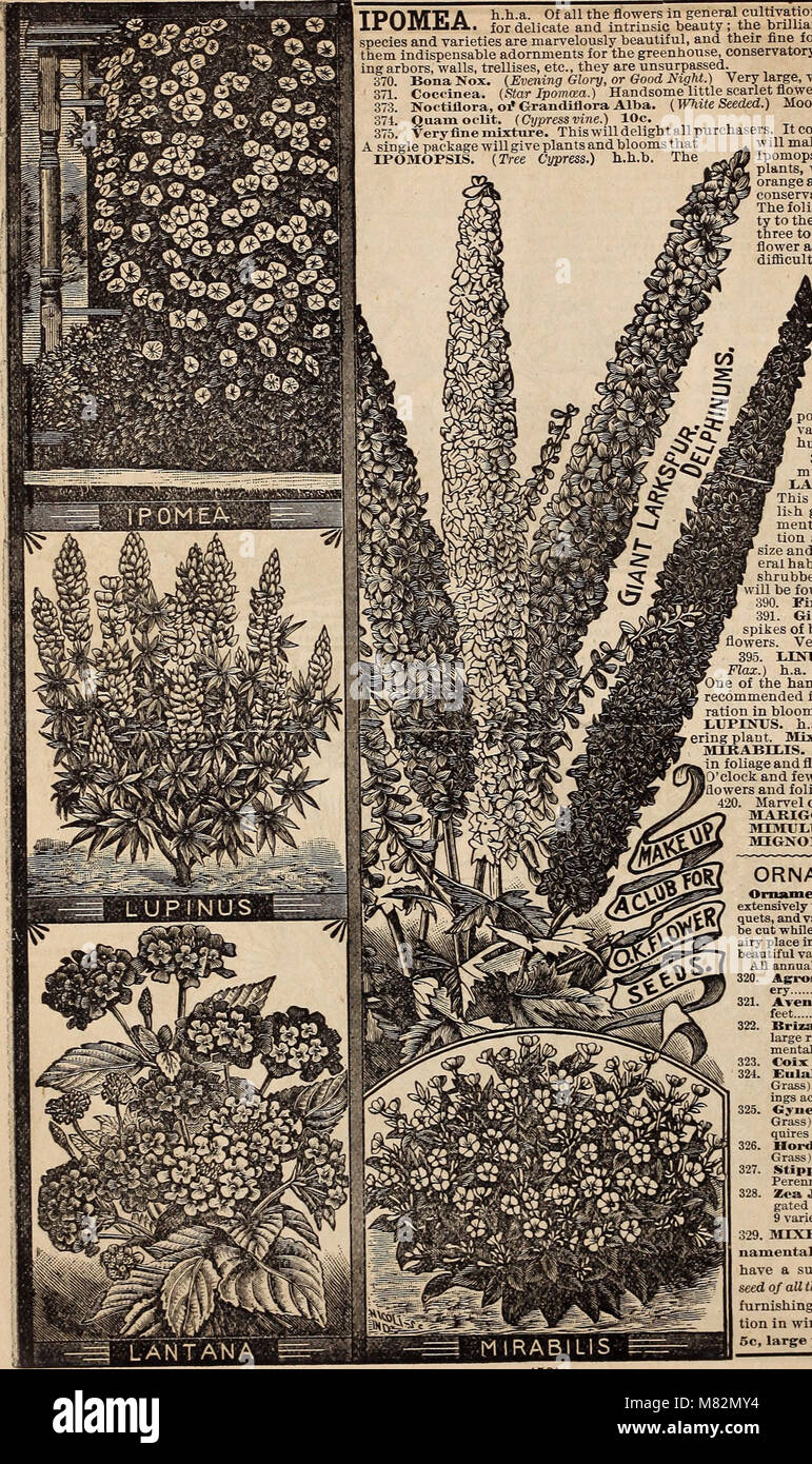 This image features a catalog from 1894 showcasing O.K. seeds ...