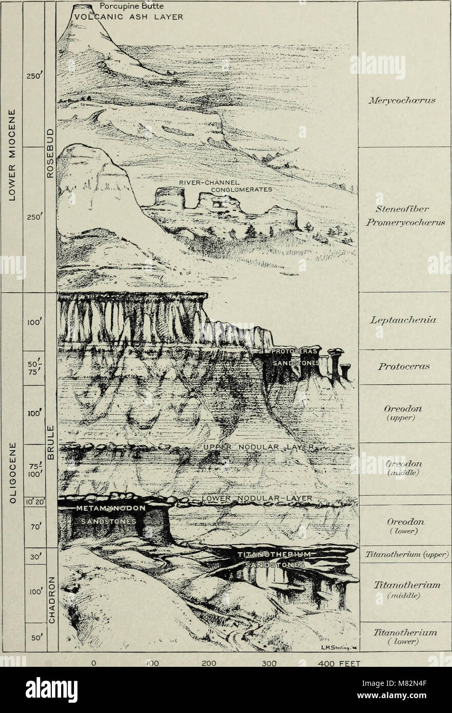 This 1909 work explores the fossilized remains of mammals from the ...