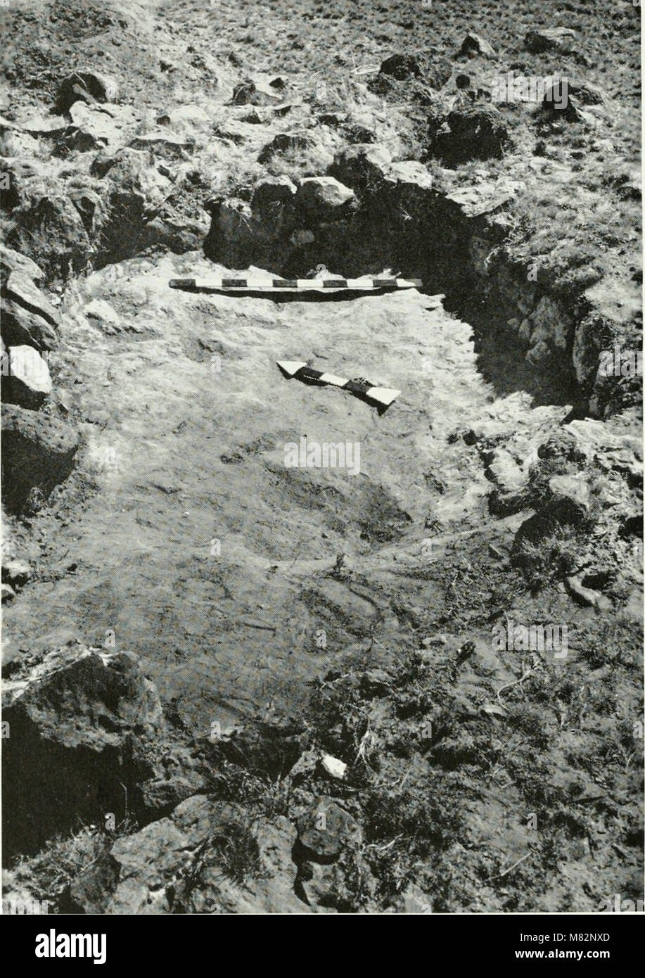 This 1962 work explores the prehistoric cultures of eastern Arizona ...