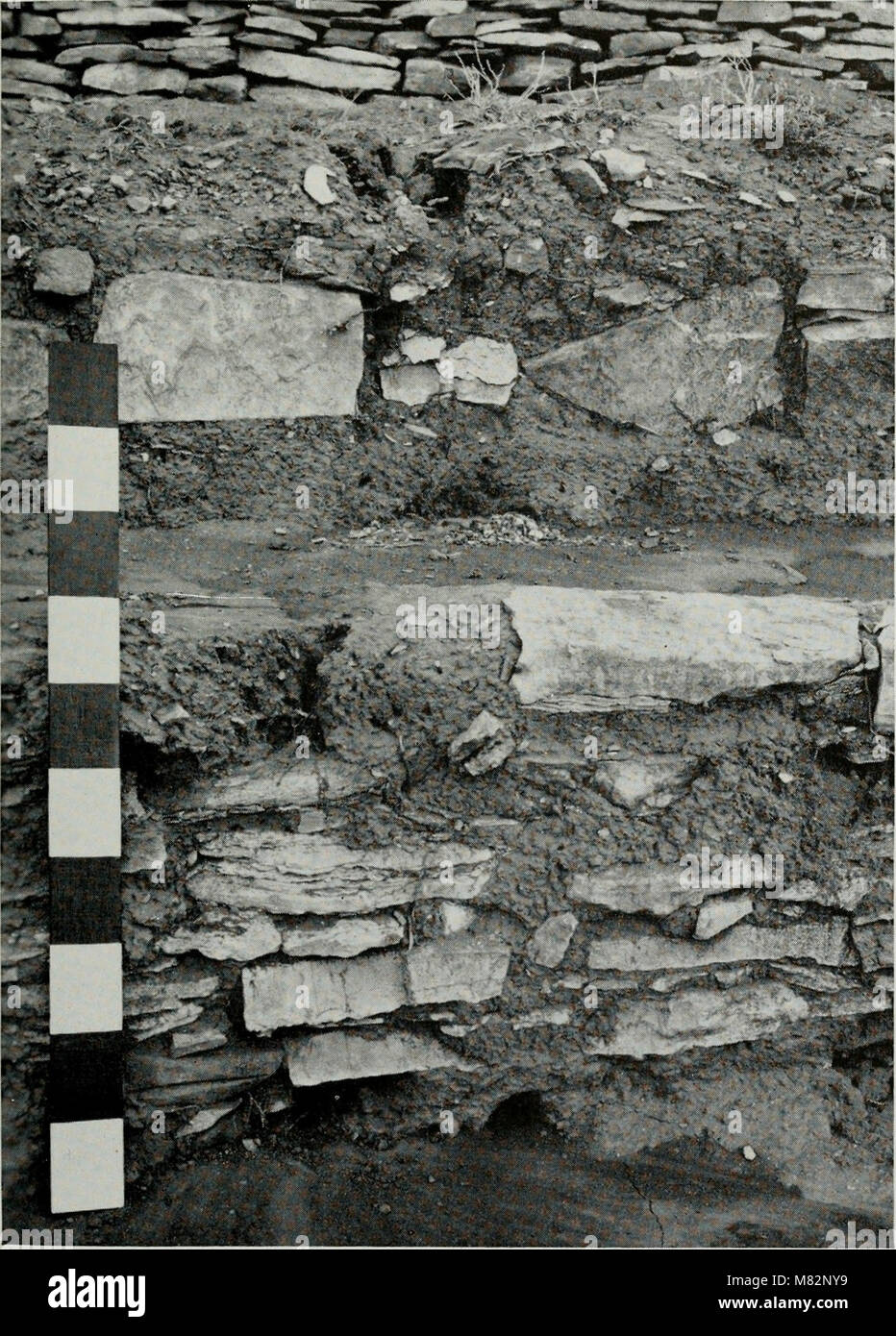 *Chapters in the Prehistory of Eastern Arizona* (1964) explores the ...