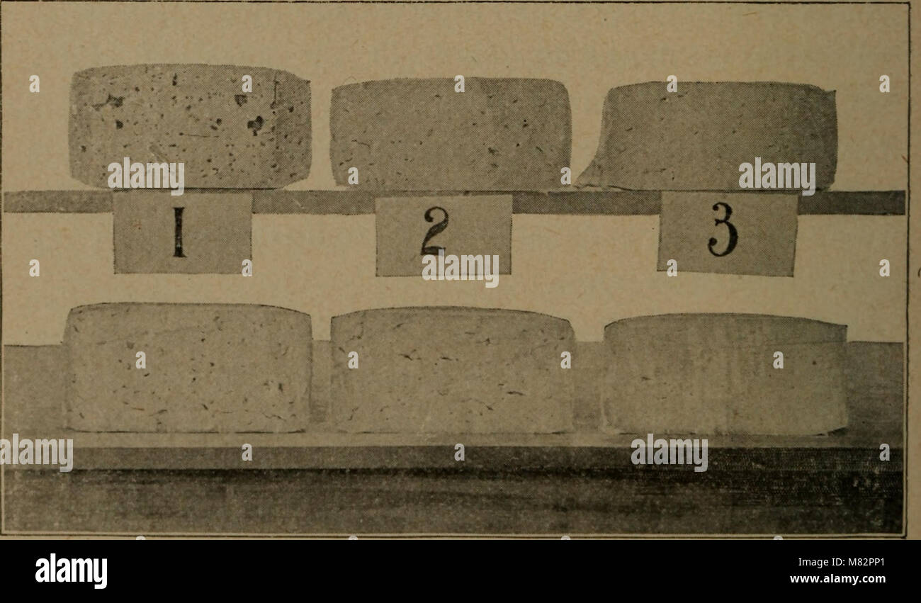 Cheese making skills hi-res stock photography and images - Alamy