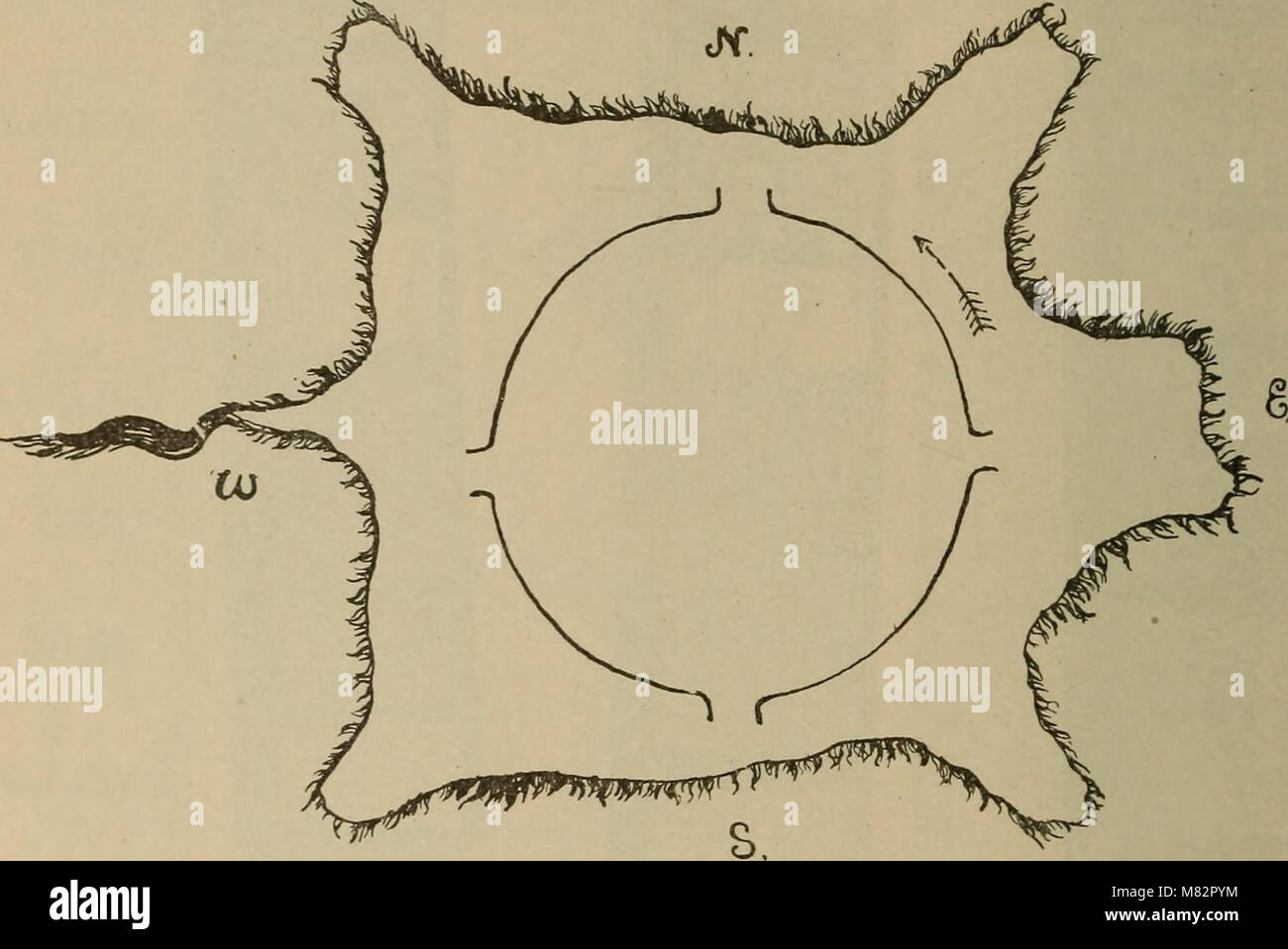 This book explores the history and development of chess and playing ...