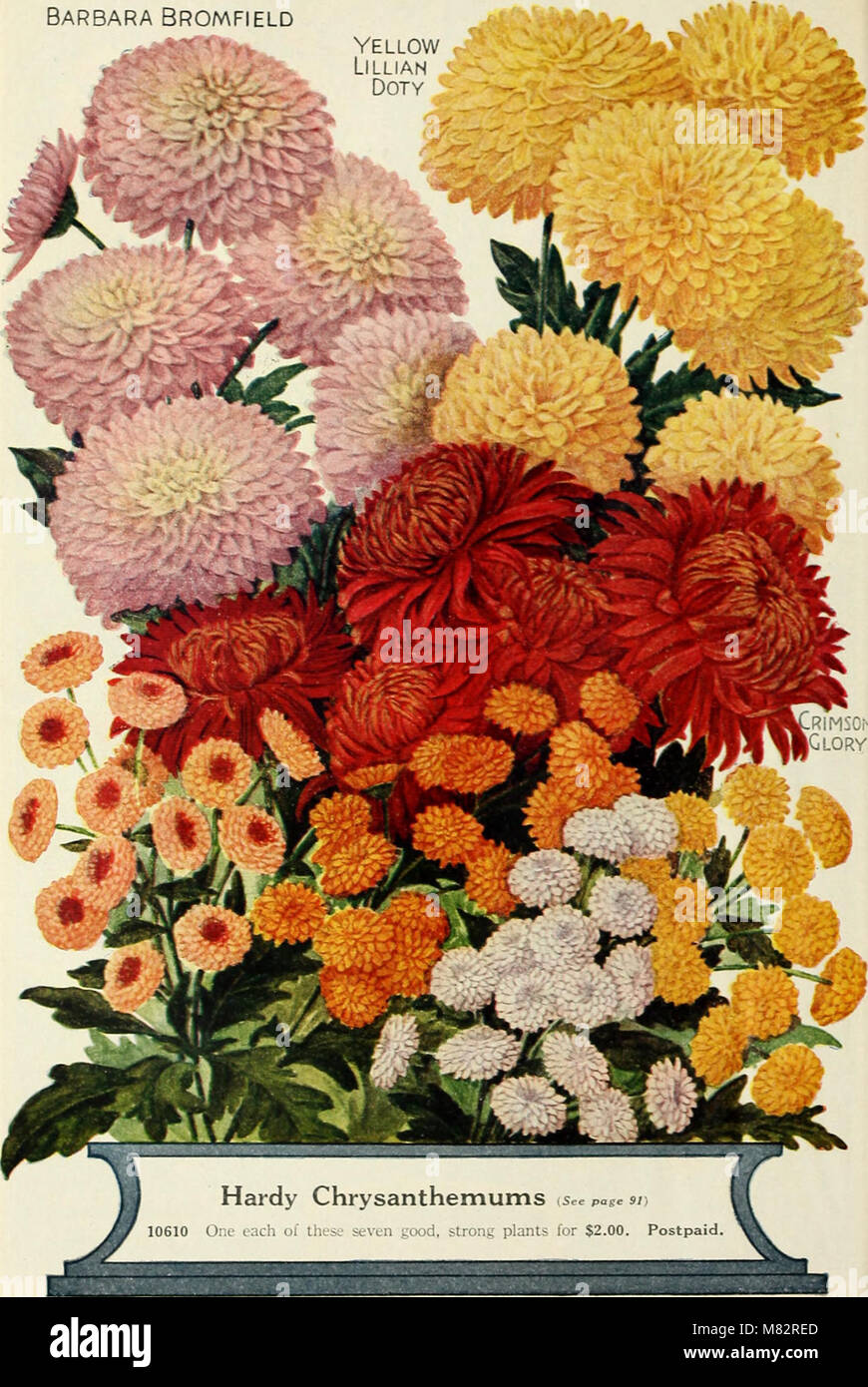 Childs' 1925 - 50th anniversary (1925) (20579387216 Stock Photo - Alamy